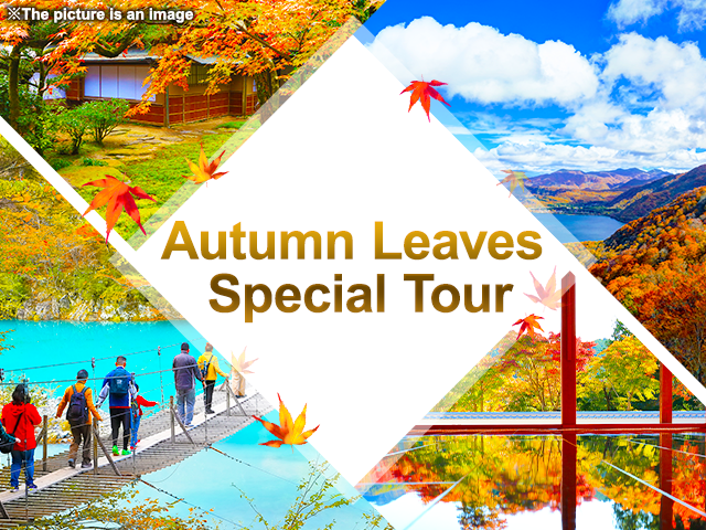 Autumn Leaves Tour & Autumn Leaves Trip 2026│ Club Tourism